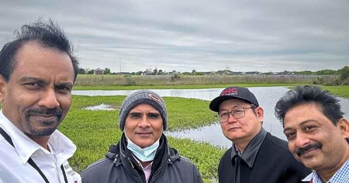 Aquatic Flowers | Fort Bend Star | School News | fortbendstar.com