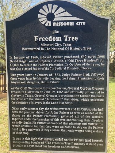 Missouri City Freedom Tree Park | County News | fortbendstar.com