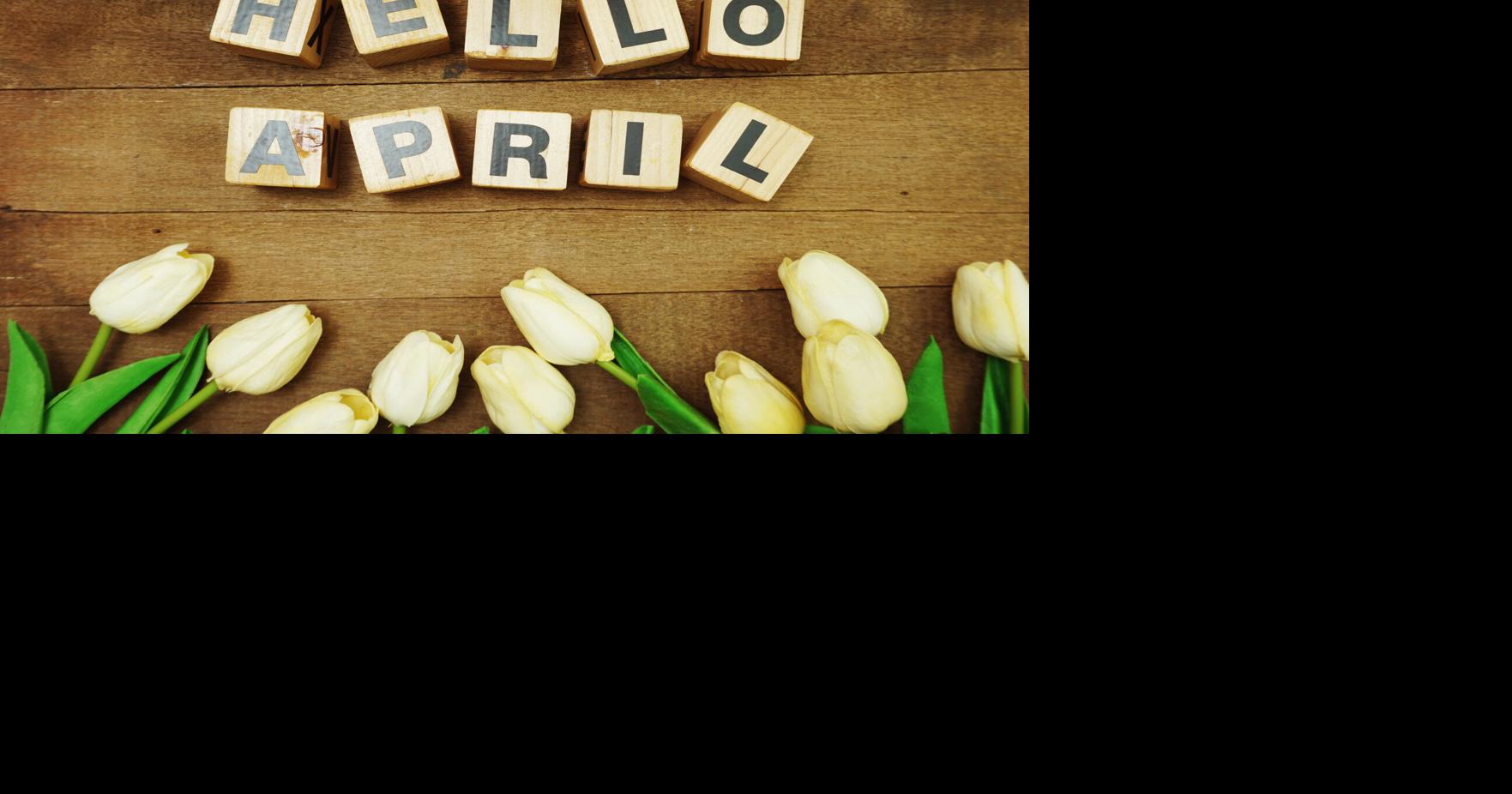 Plan Your Month with Our Guide to the Best Events and Observances in ...