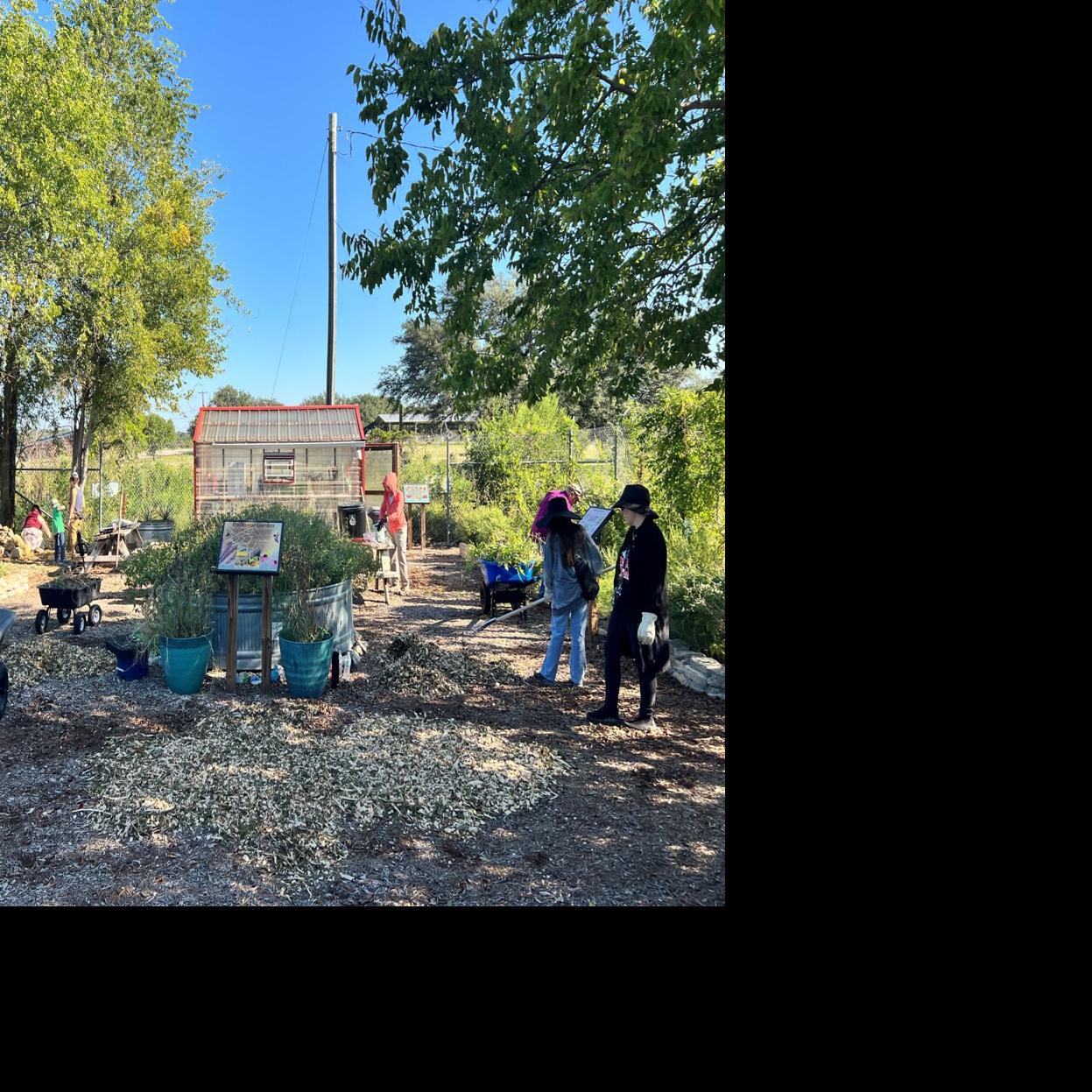 Structured Self-Development program: Bridging operational ...