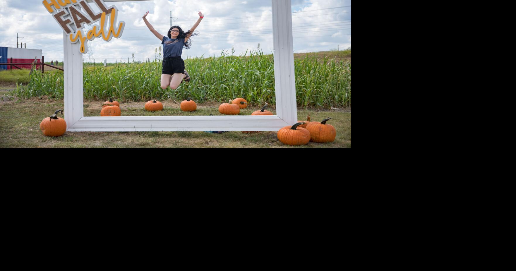 Feel gourd vibes only at Robinson Family Farm | Traveling Soldier ...