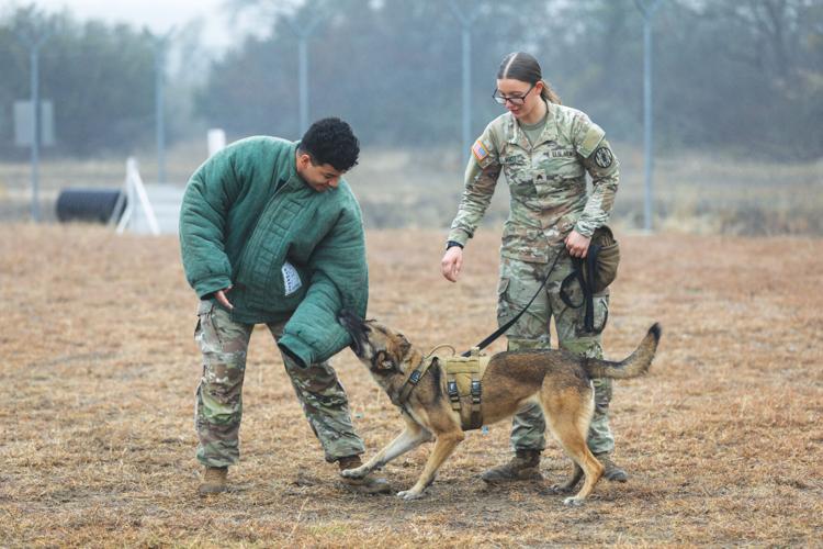 Media personnel observe MP training | News | forthoodsentinel.com