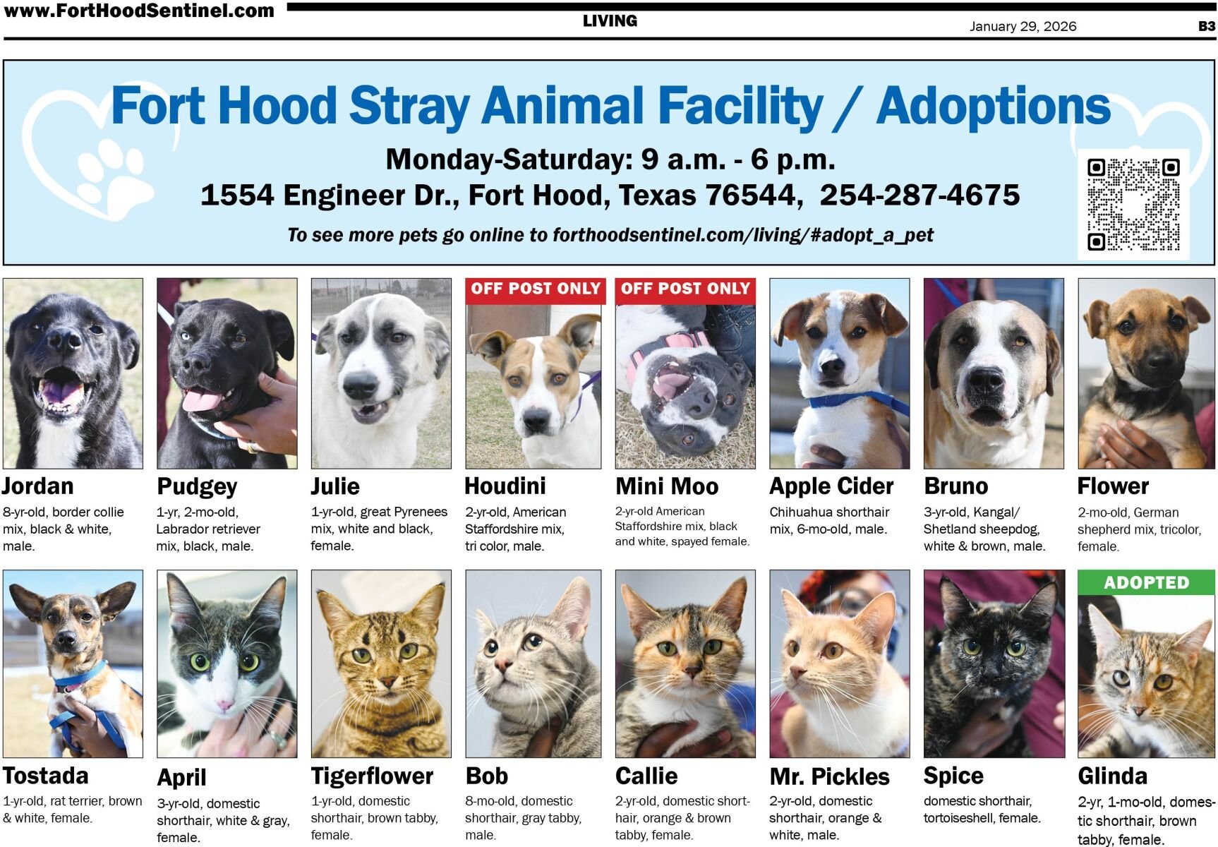 January 29 Pets | Adopt A Pet | forthoodsentinel.com