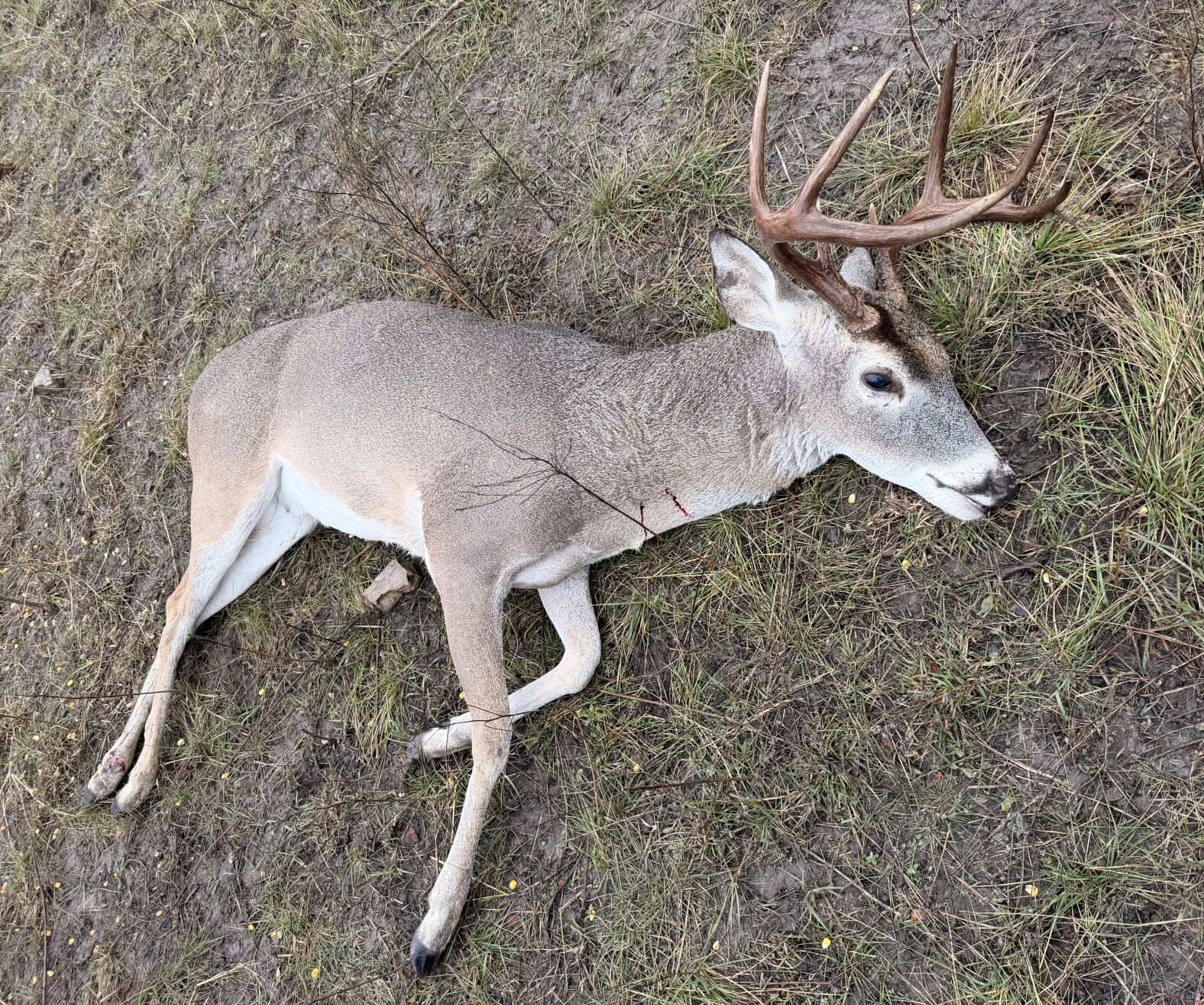 Deer meat program assists Soldiers in need at Fort Hood | Living ...