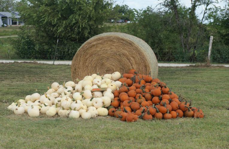 The Robinson Family Farm | Traveling Soldier | forthoodsentinel.com