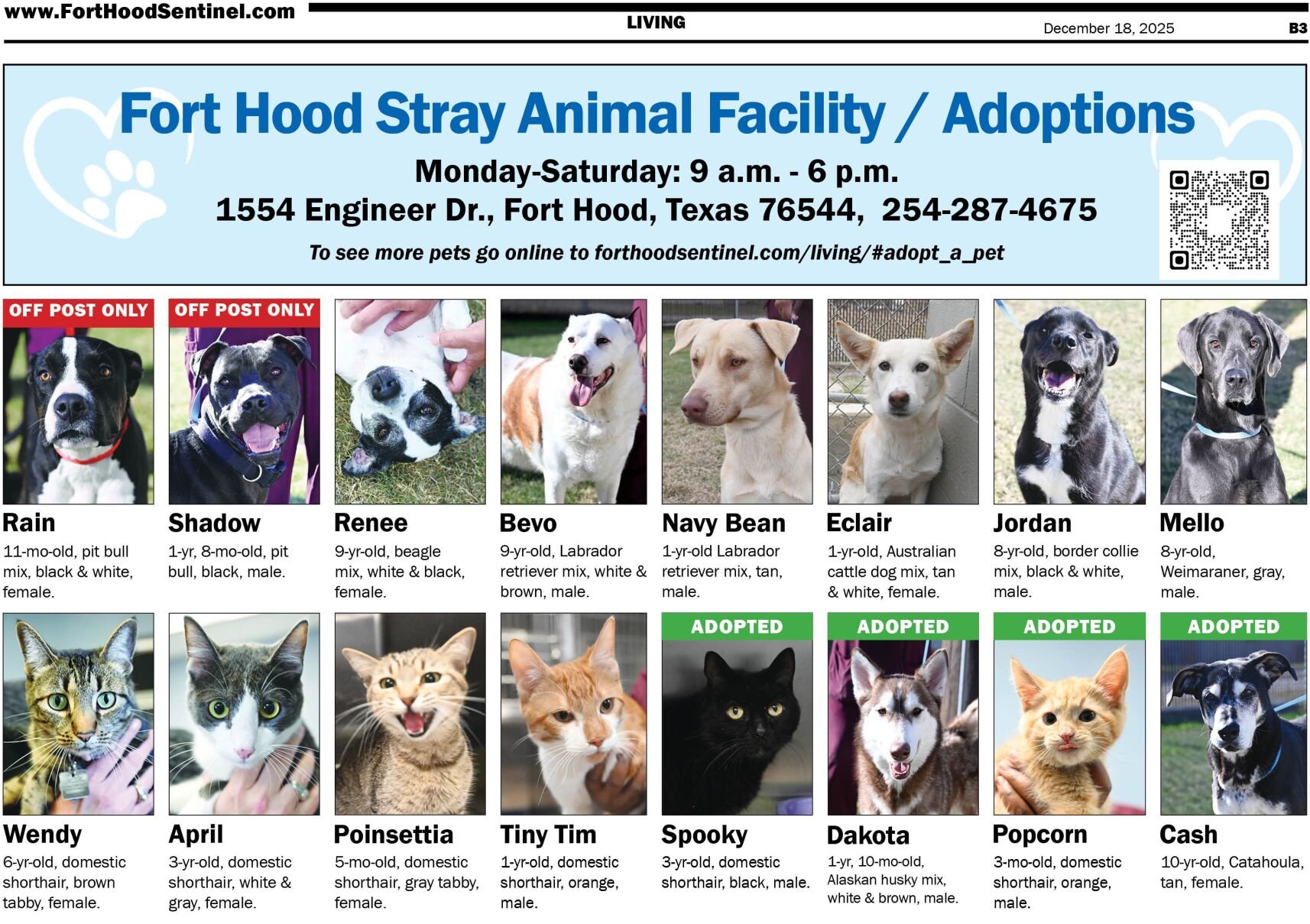 New Body Composition Program: Major revisions to AR 600-9 explained ...