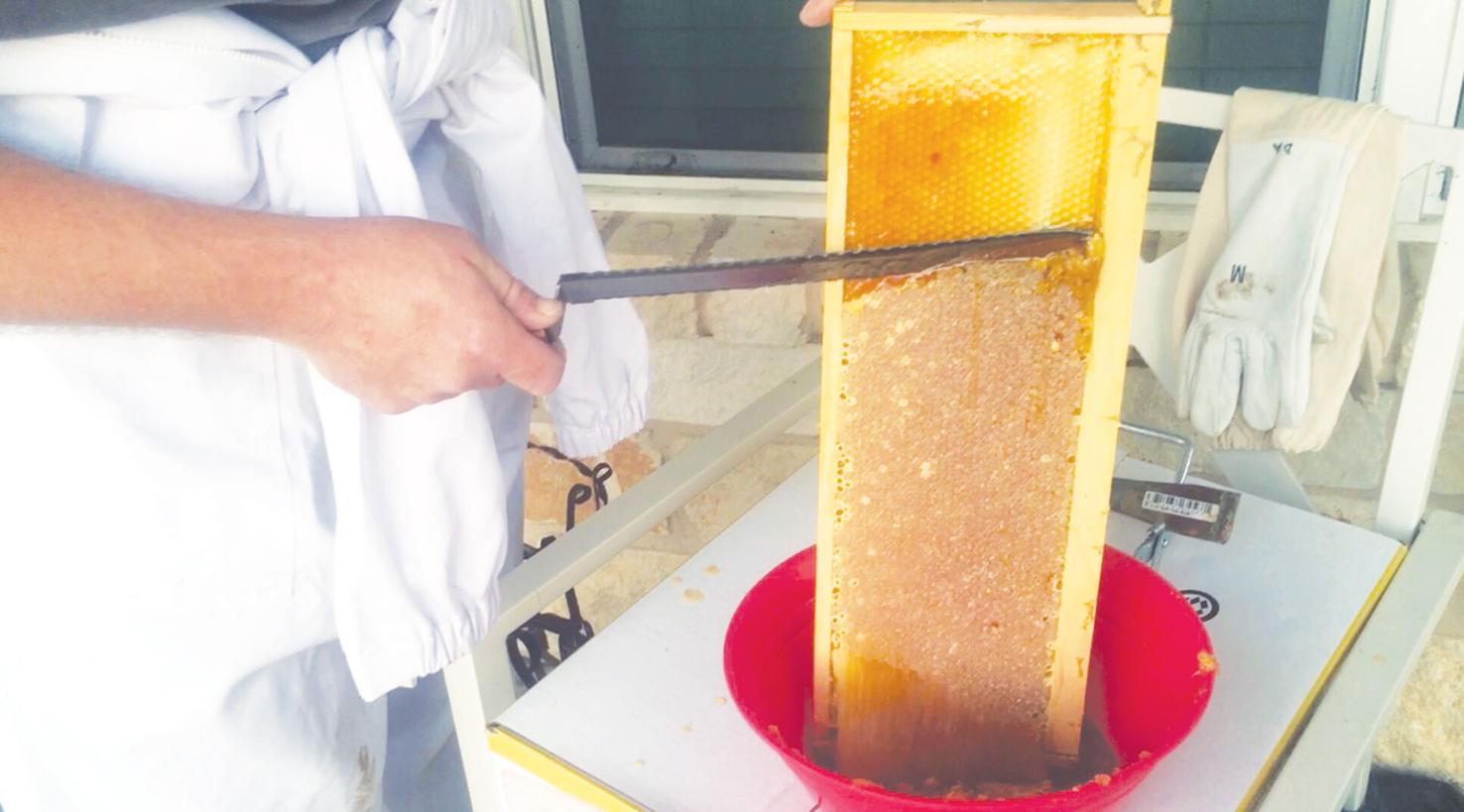 Beekeeping benefits bees, everyone | Thats Entertainment ...