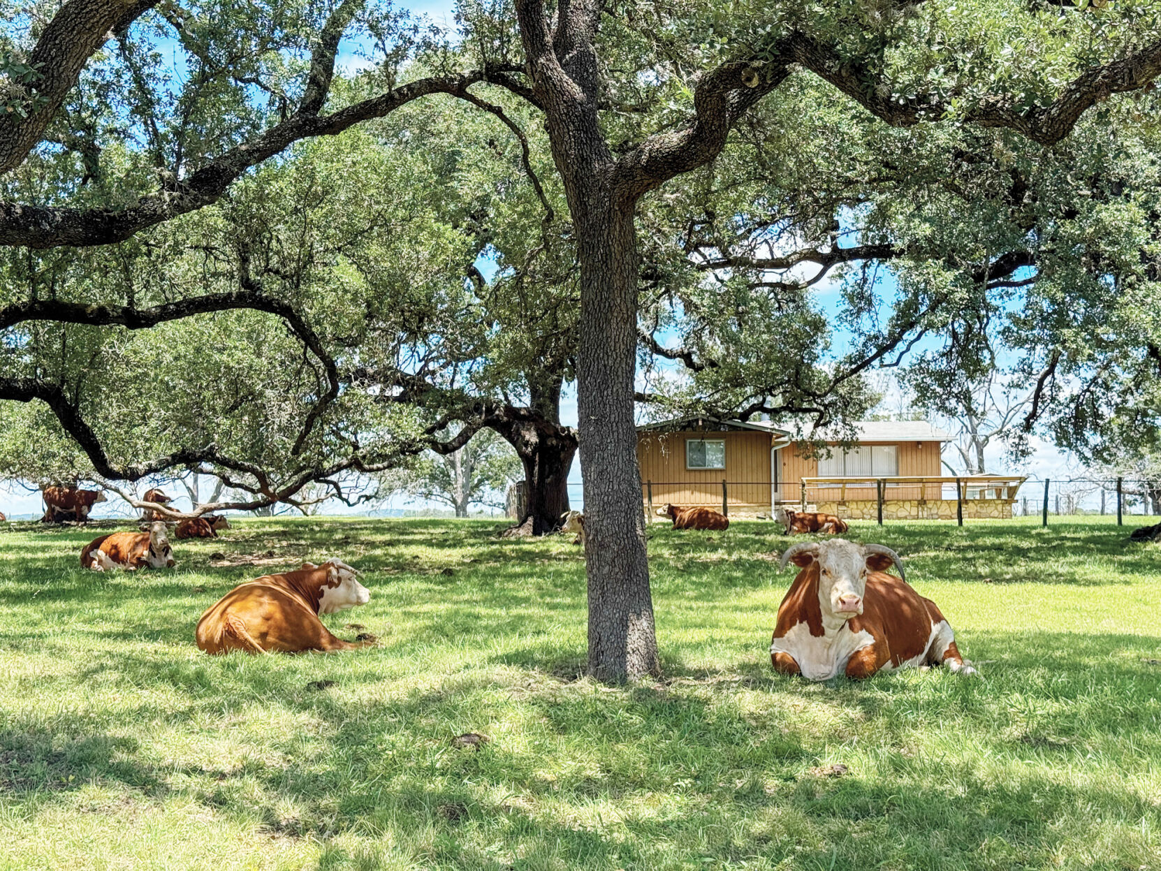 11th Sig Bde provides global mission support | Living ...