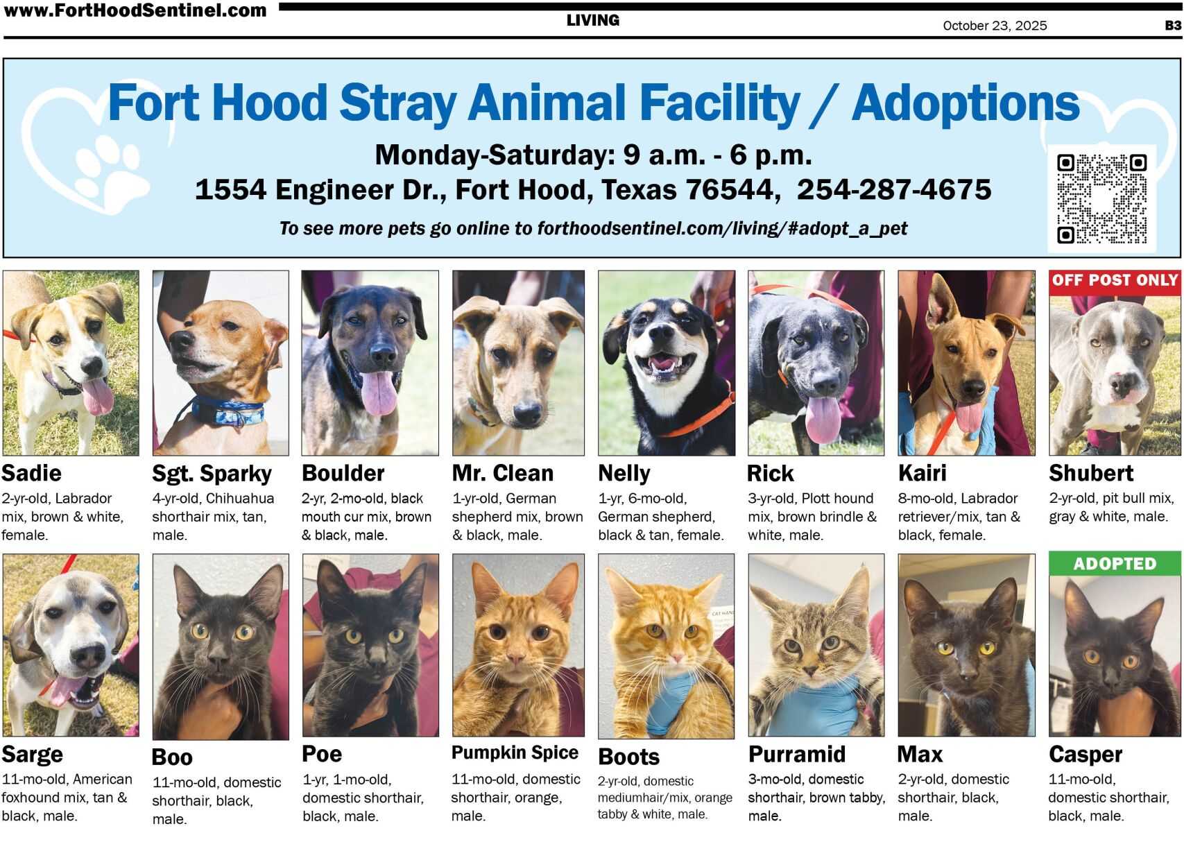 Mandatory SHARP training package replaces annual requirements Army ...