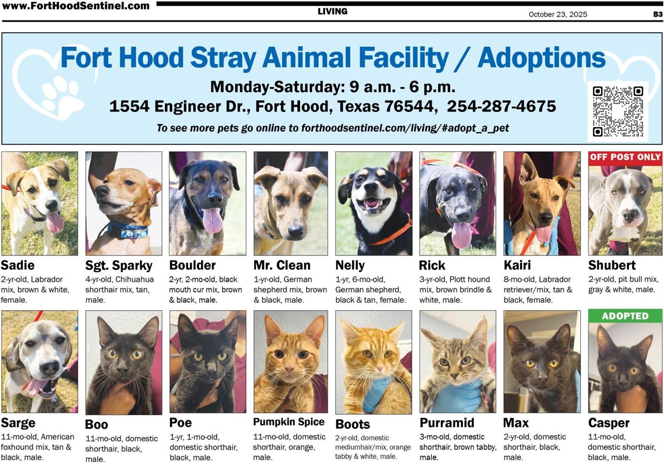 Structured Self-Development program: Bridging operational ...