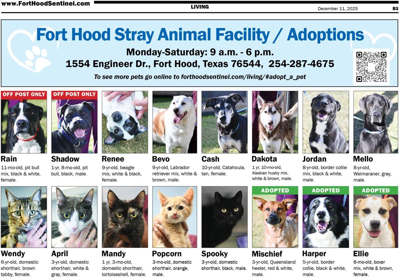 New Army Retention Control Points: What they are, how they can affect ...