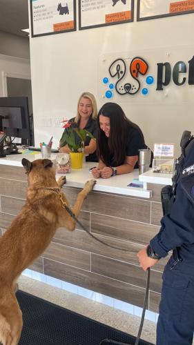 Sisters in Law Find Shared Business Opportunity in Petbar | Franchise ...