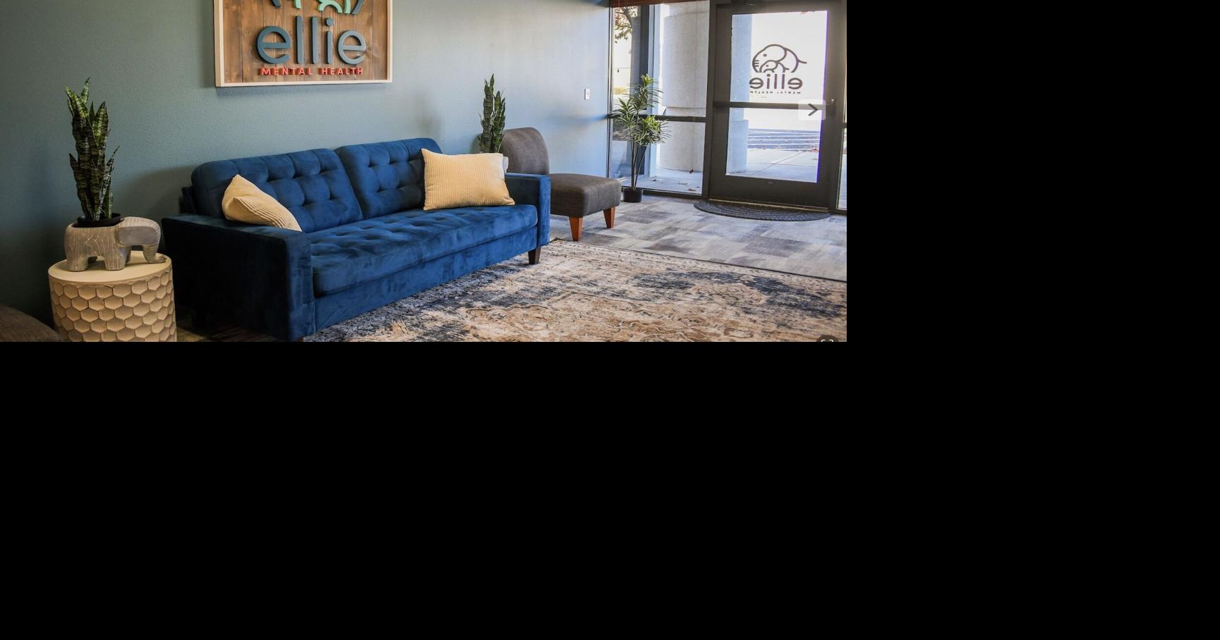 Complaints Mount at Ellie Mental Health as Franchisees Claim They Were ...