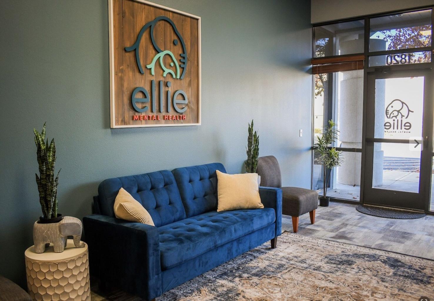 Complaints Mount at Ellie Mental Health as Franchisees Claim They Were ...