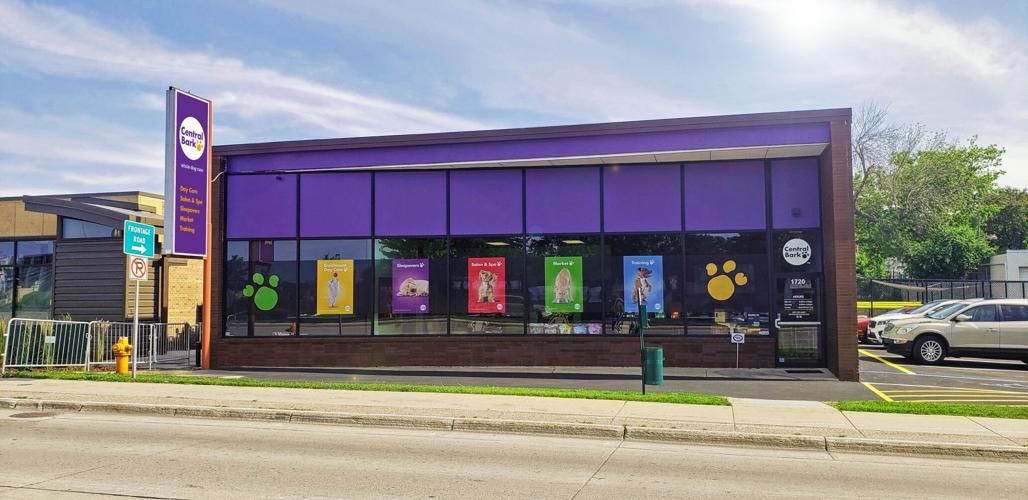 Central Bark Redefines the Narrative About Owning a Dog Day Care ...