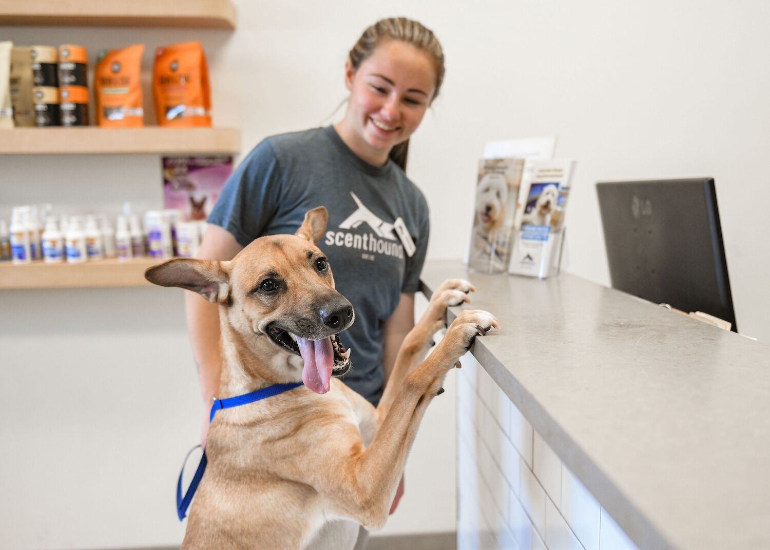 Where Are They Now? Scenthound Passes 100 Units | Franchise News ...