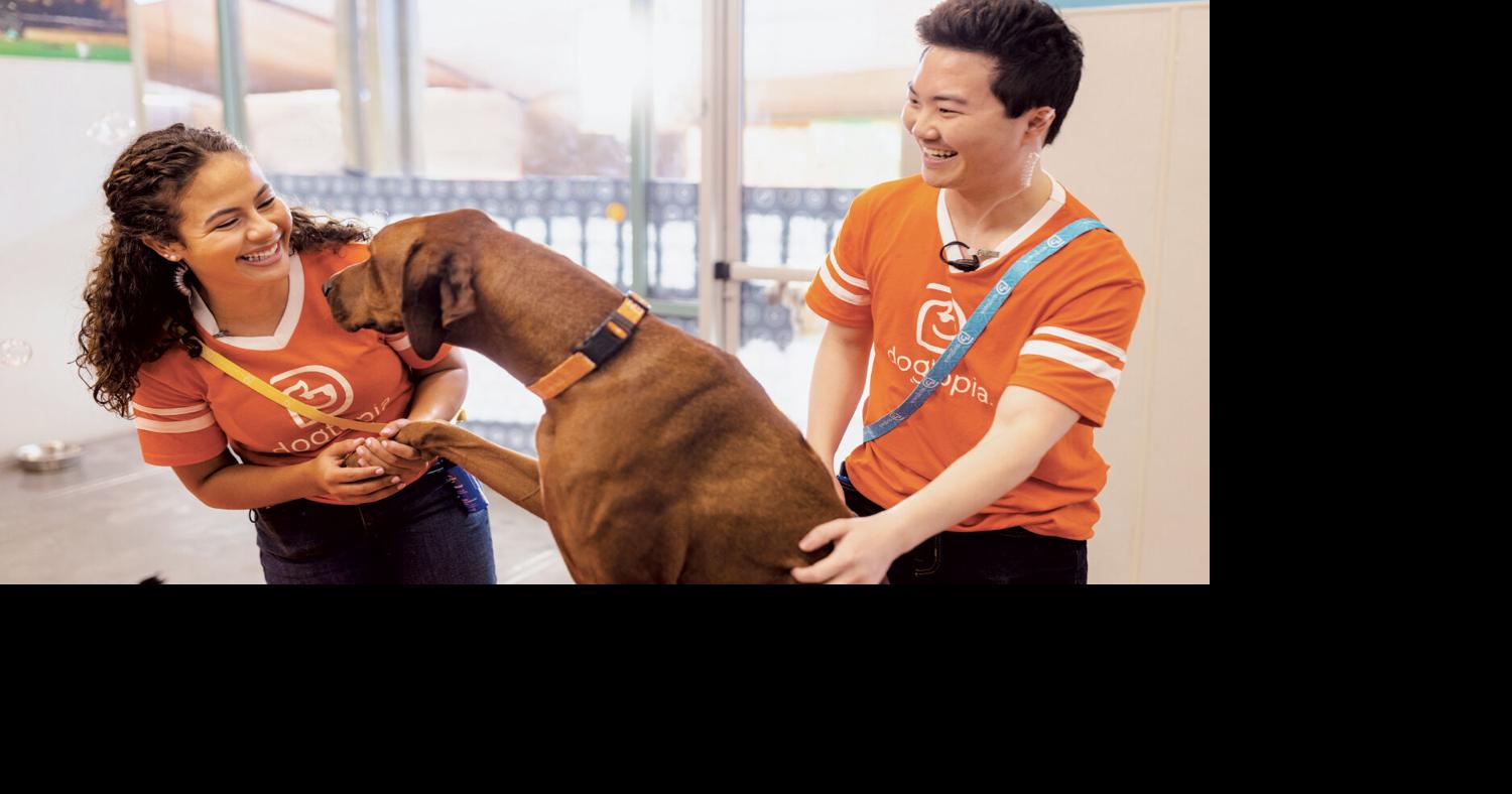 Dogtopia Wins 2024 Franchise Times Zor Award as Top Brand to Buy ...