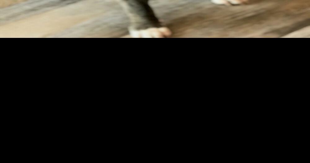 Woof Gang Bakery Aims to Delight Dogs and Their Humans | Franchise News ...