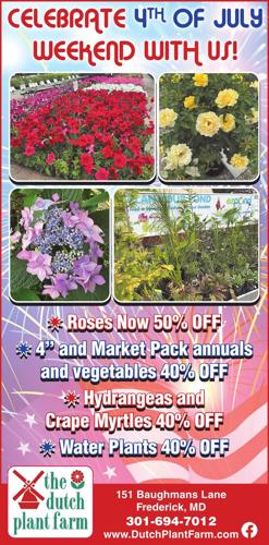 Dutch Plant Farm | Marketplace | fredericknewspost.com