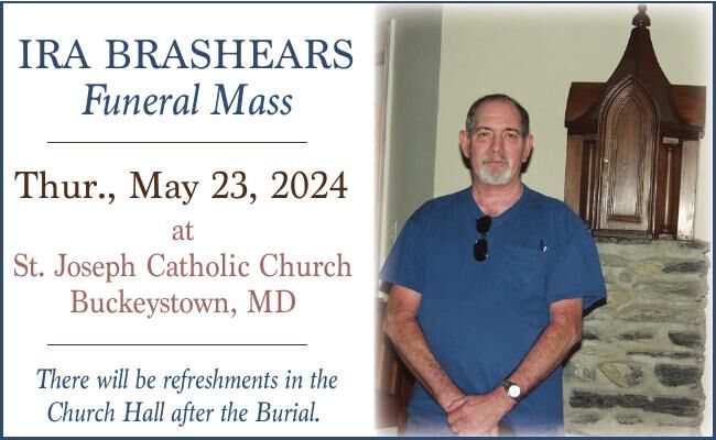 Peregrine falcon: The great sky hunter | Environment ...