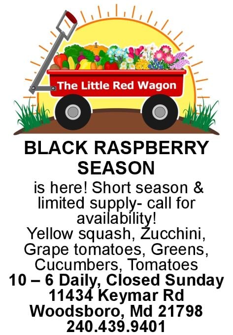 The Little Red Wagon | Announcements More | fredericknewspost.com
