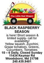 The Little Red Wagon | Announcements More | fredericknewspost.com