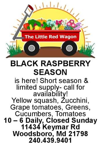 The Little Red Wagon | Announcements More | fredericknewspost.com