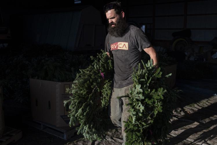 Festive Farms: Three businesses come alive with Christmas spirit | Arts ...