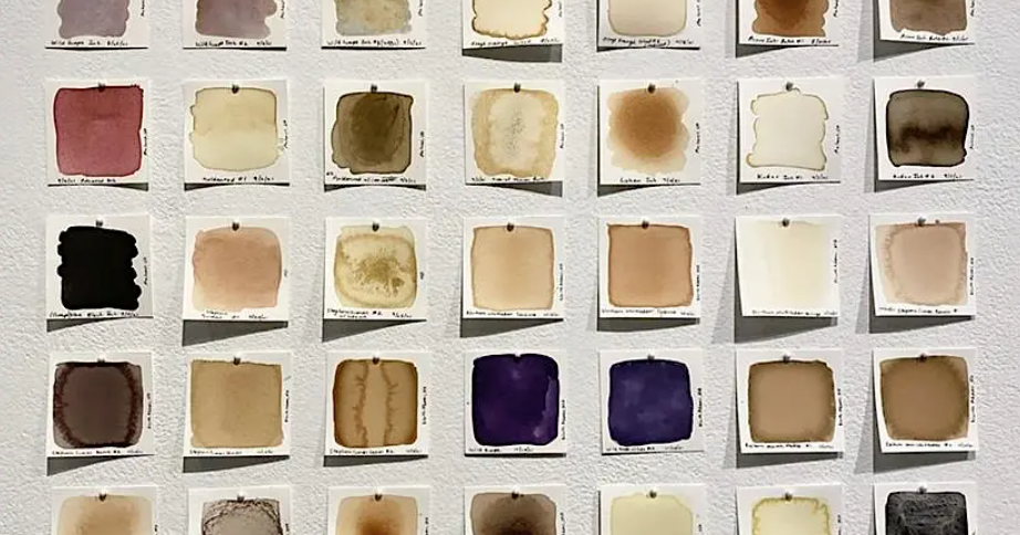 Botanical Ink Making with Andrea Sherrill Evans | Classes, workshops ...