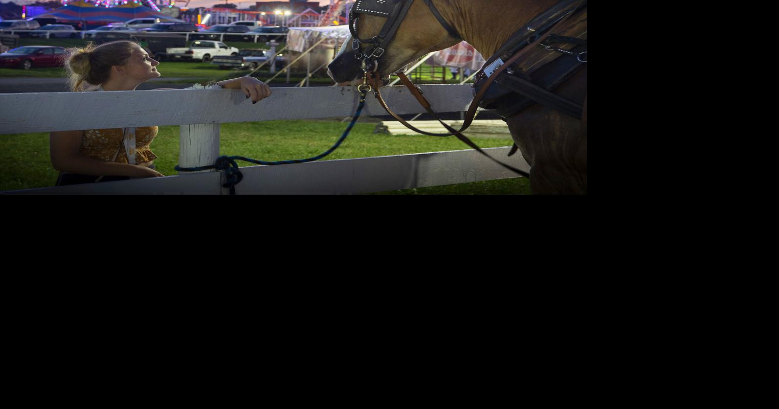 What you need to know about this year’s Great Frederick Fair | Arts ...