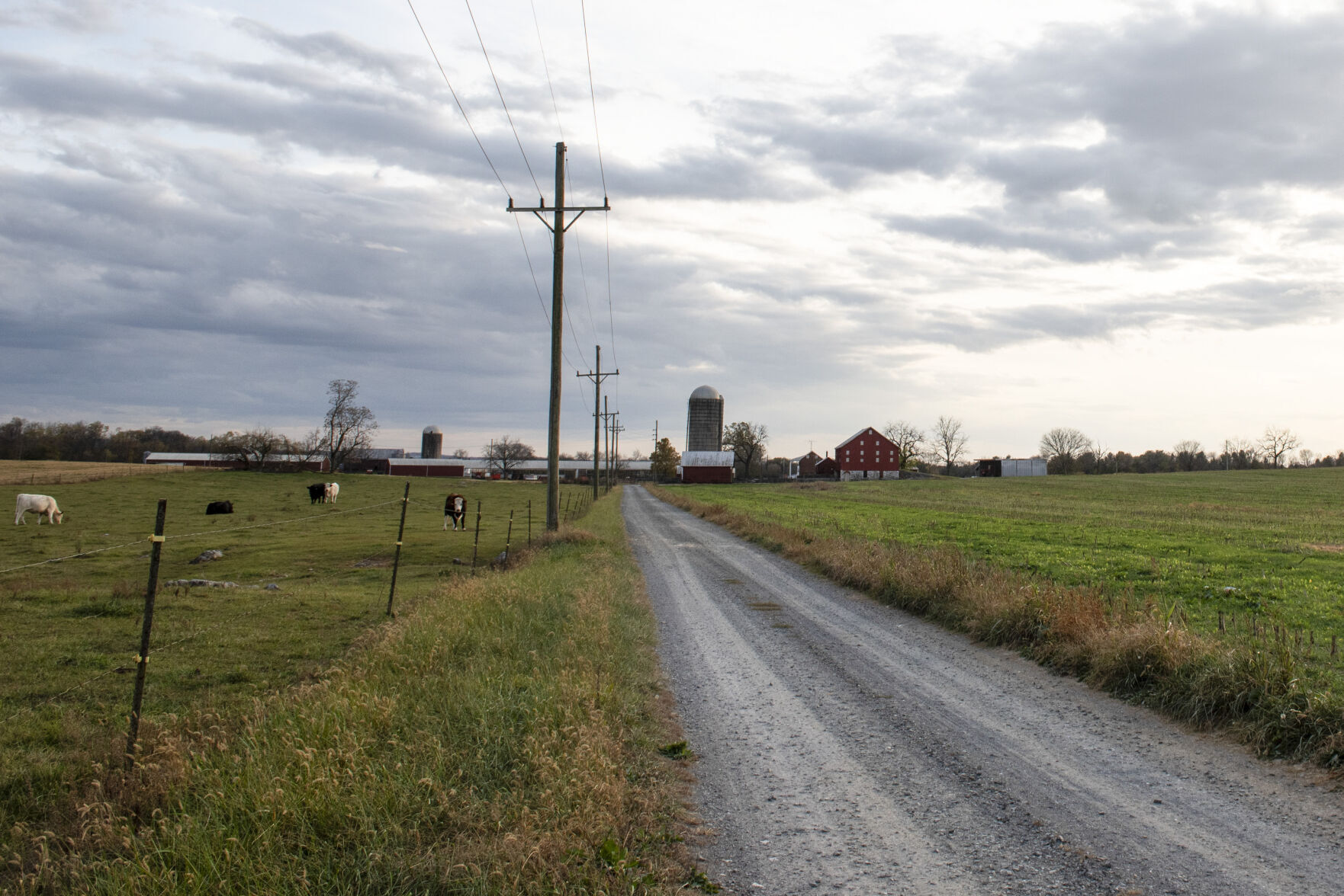 In the Field: A look into the lives of three Frederick County farm ...