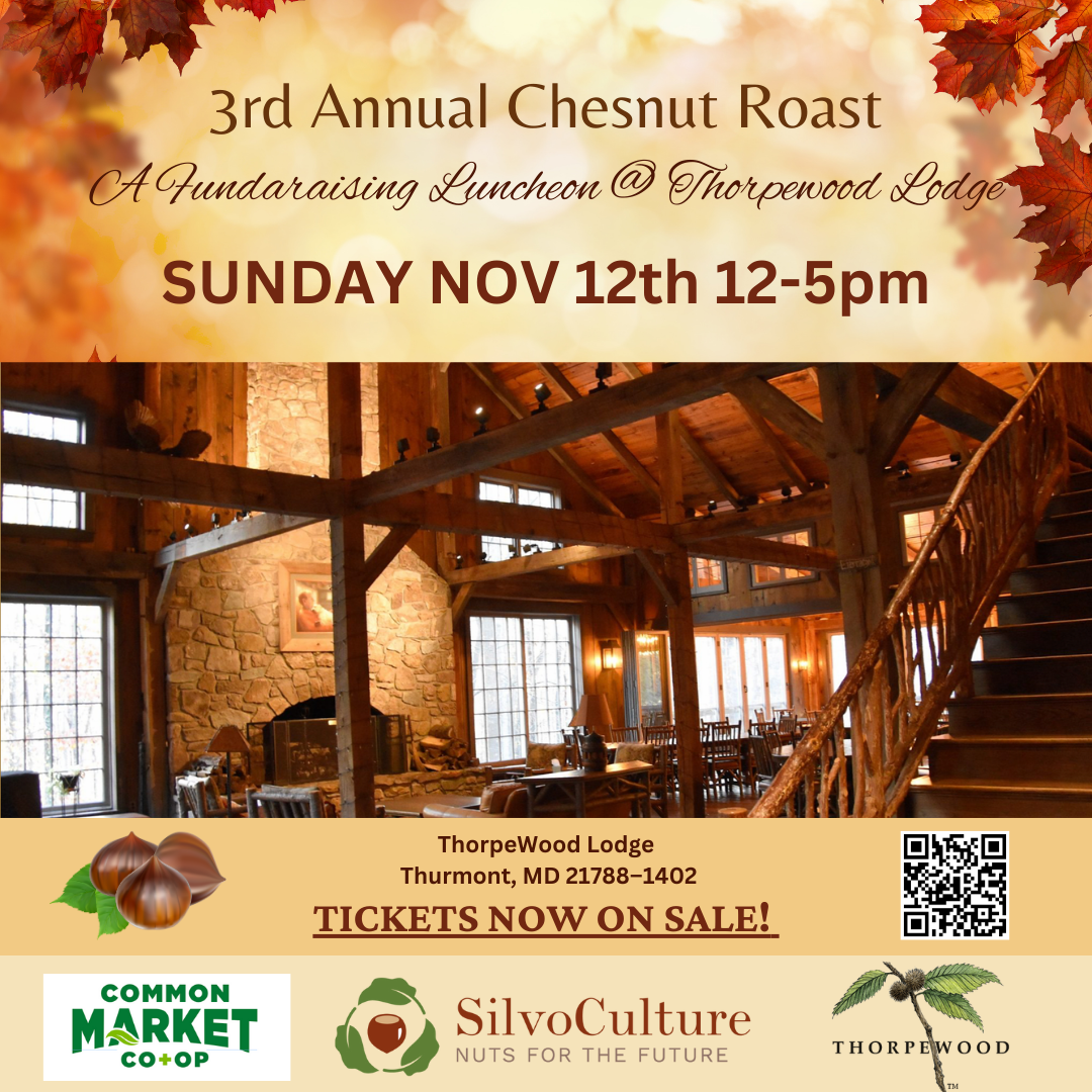 SilvoCuluture's 3rd Annual Chestnut Roast! | Other | fredericknewspost.com