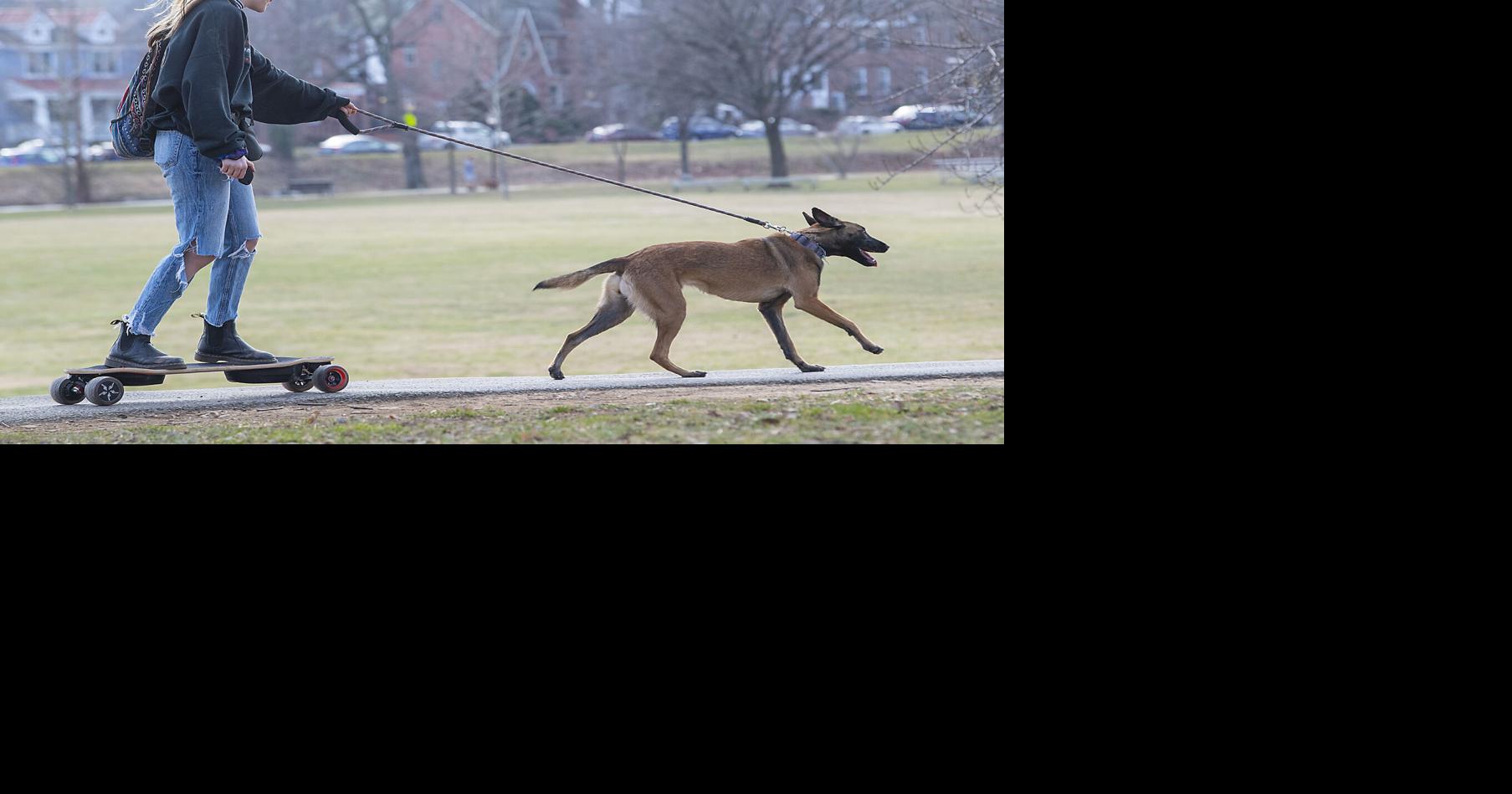 Ruff rider | Special | fredericknewspost.com