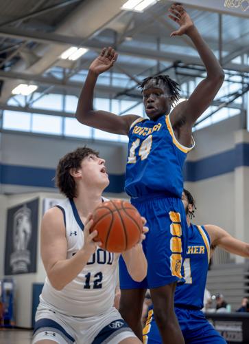 Hood men's basketball gets scoring from all over in win over Goucher ...