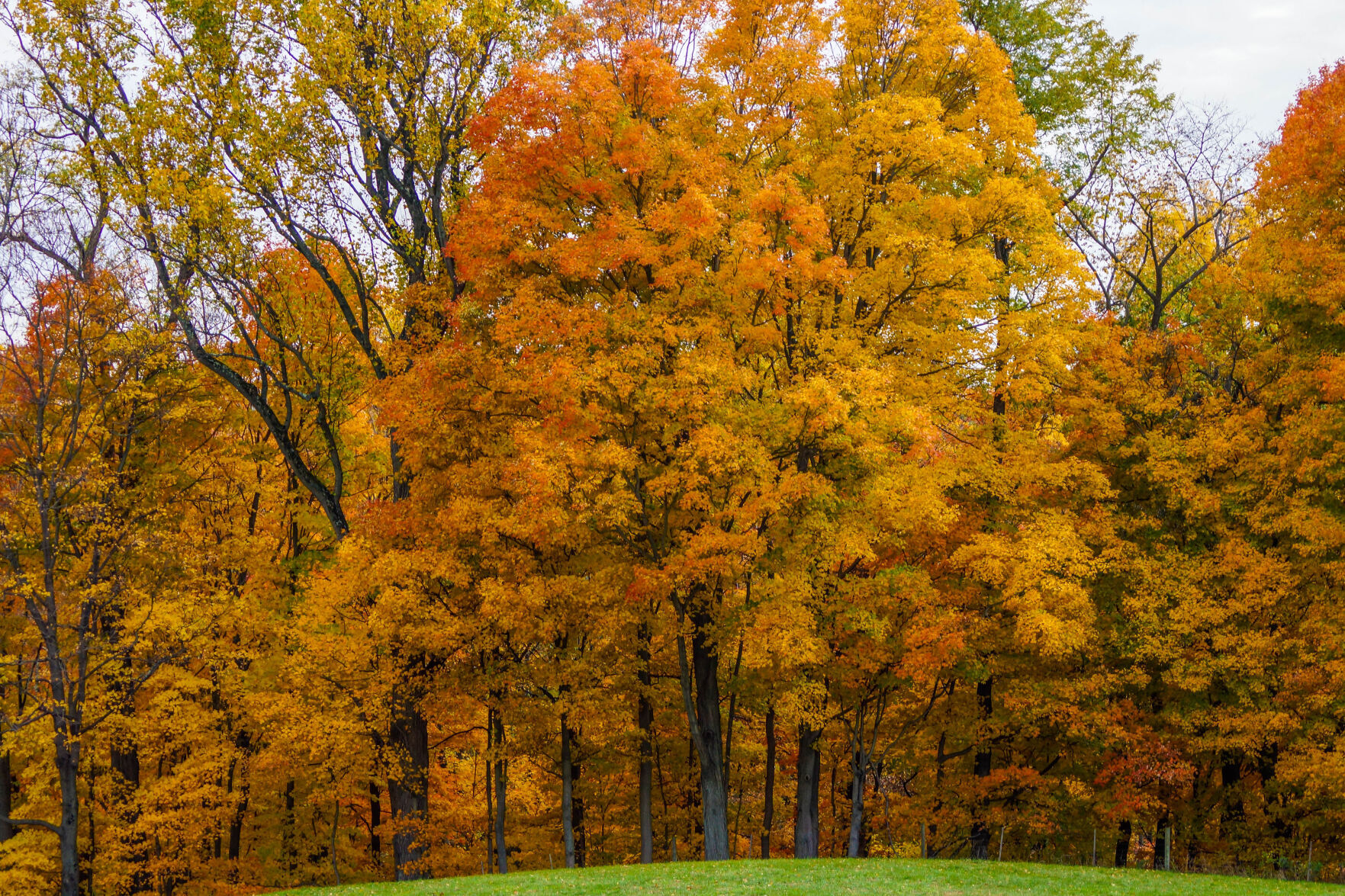 The best natural overlooks near Frederick to see fall foliage | Arts ...