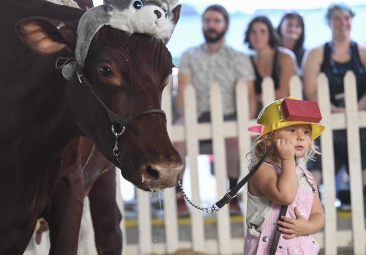 Pretty Cow Contest draws "Legen-Dairy" costumes | Great Frederick Fair ...