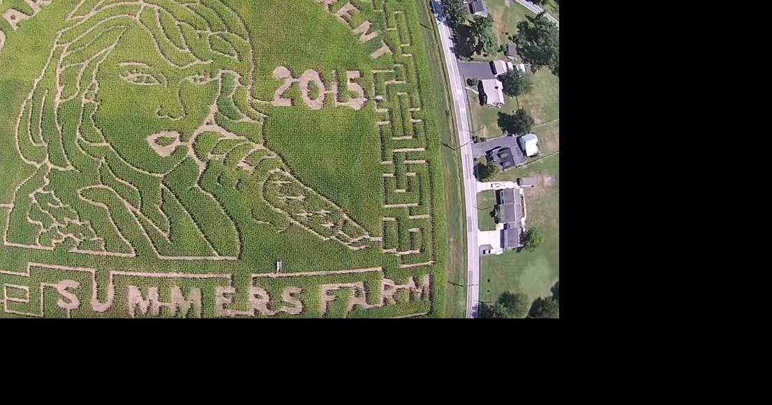 Summers Farm unveils Taylor Swift corn maze | | fredericknewspost.com