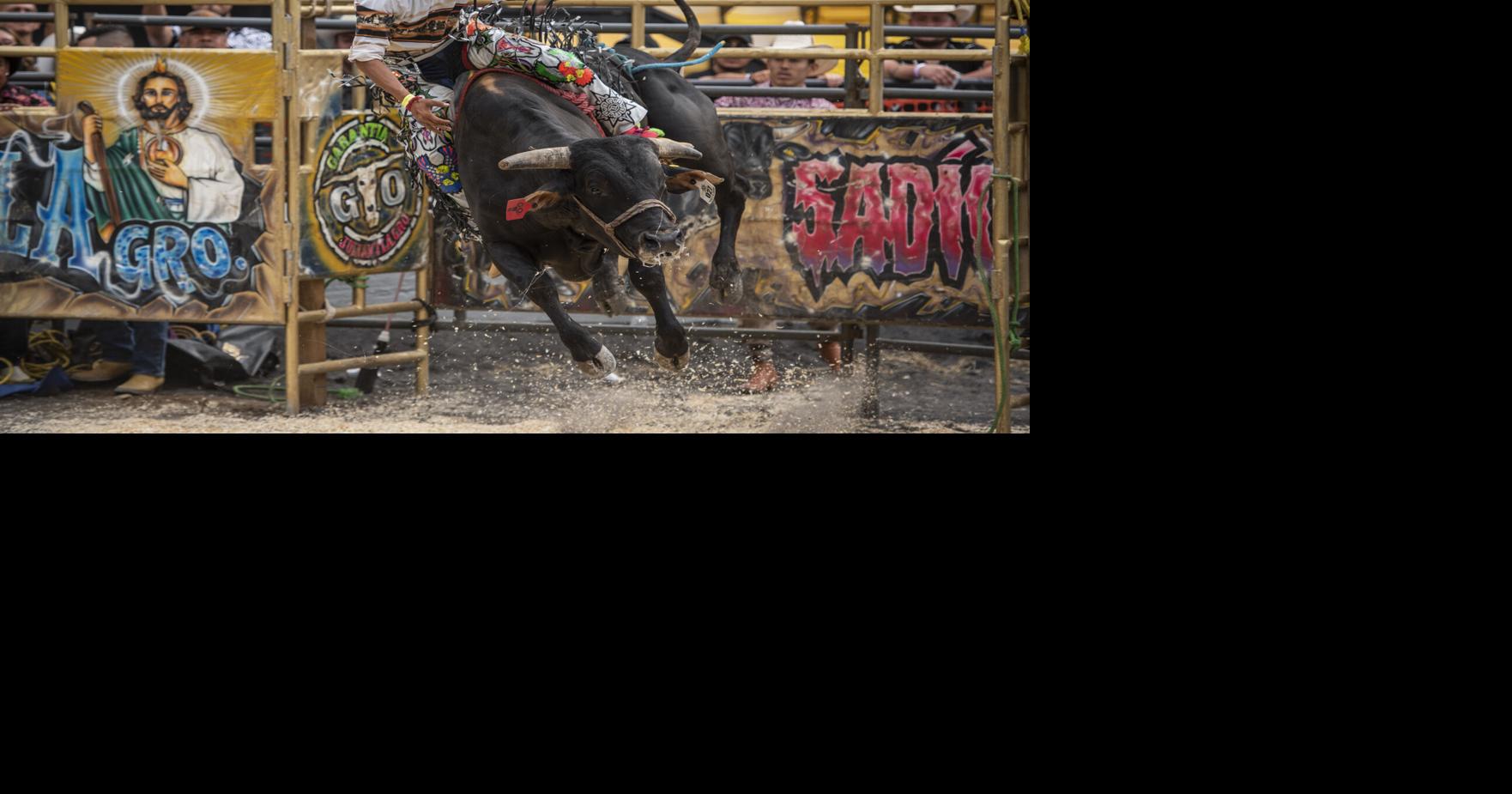 Rodeo brings thrill of bull-riding to fairgrounds | Culture ...