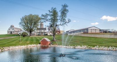Two Md. farms honored as Dairies of Distinction | | fredericknewspost.com