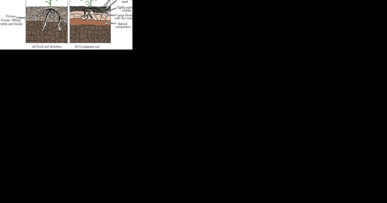 compaction geography