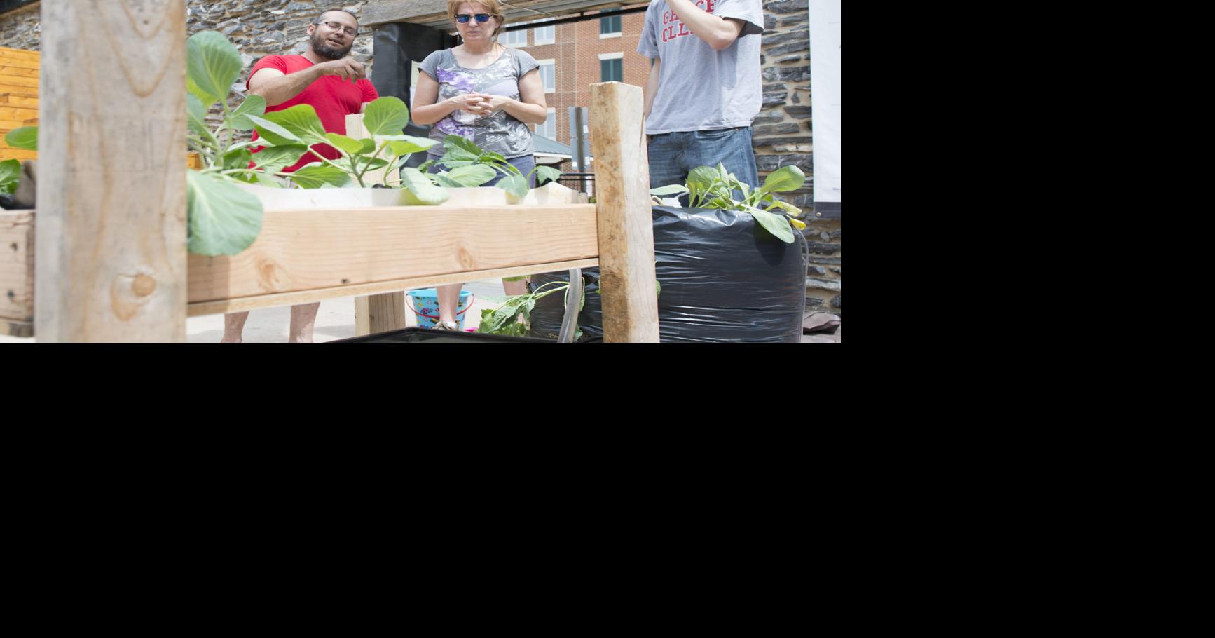 Gardens for small spaces: High tech, low tech and no tech | Home And ...