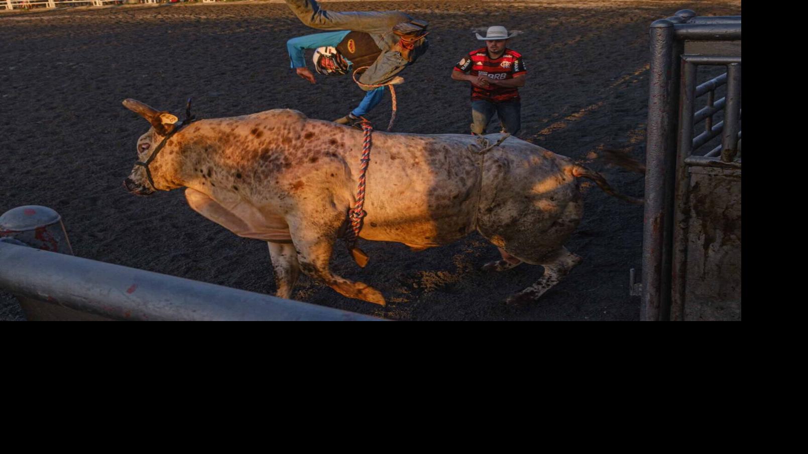 J Bar W Ranch in Union Bridge kicks off its ‘Battle of the Beast’ bull ...