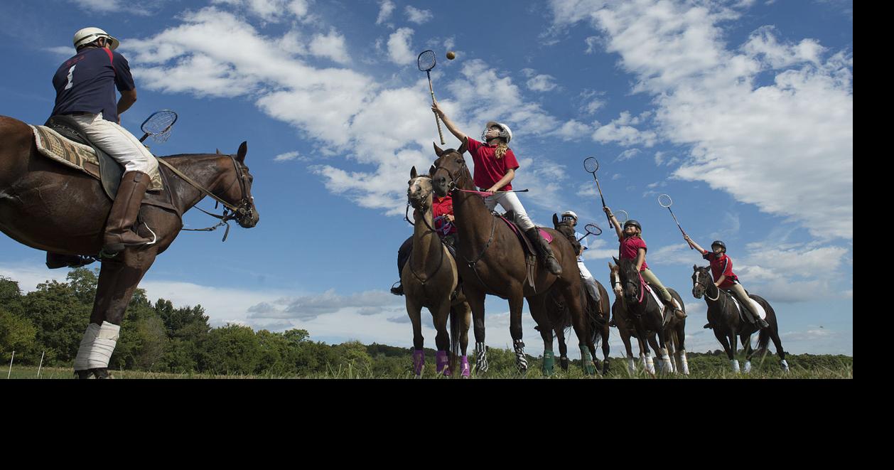 Polocrosse — Lacrosse on horseback: A more relaxed horse sport | Pets ...