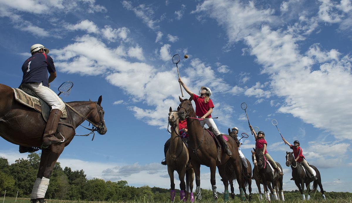 Polocrosse — Lacrosse on horseback: A more relaxed horse sport | Pets ...