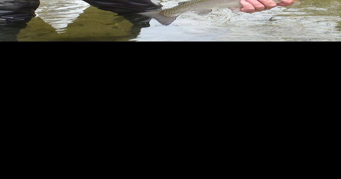 Today's Sportsman: Still time to wet a line for trout | Travel And ...
