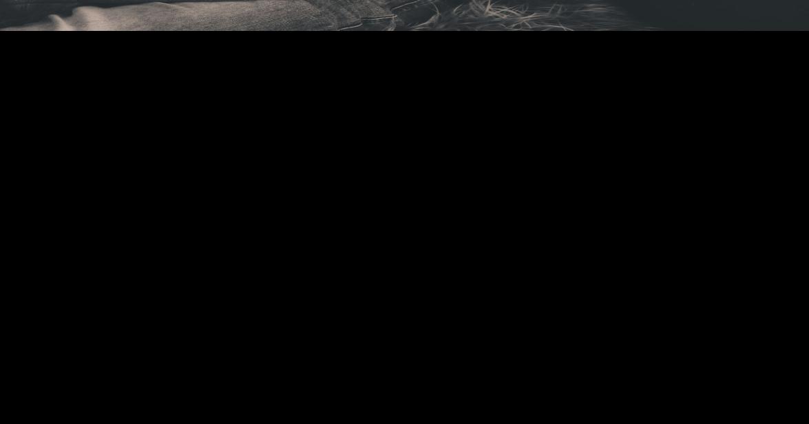 Rachel Suzanne Crum to Jose Luis Moreno | Source | fredericknewspost.com