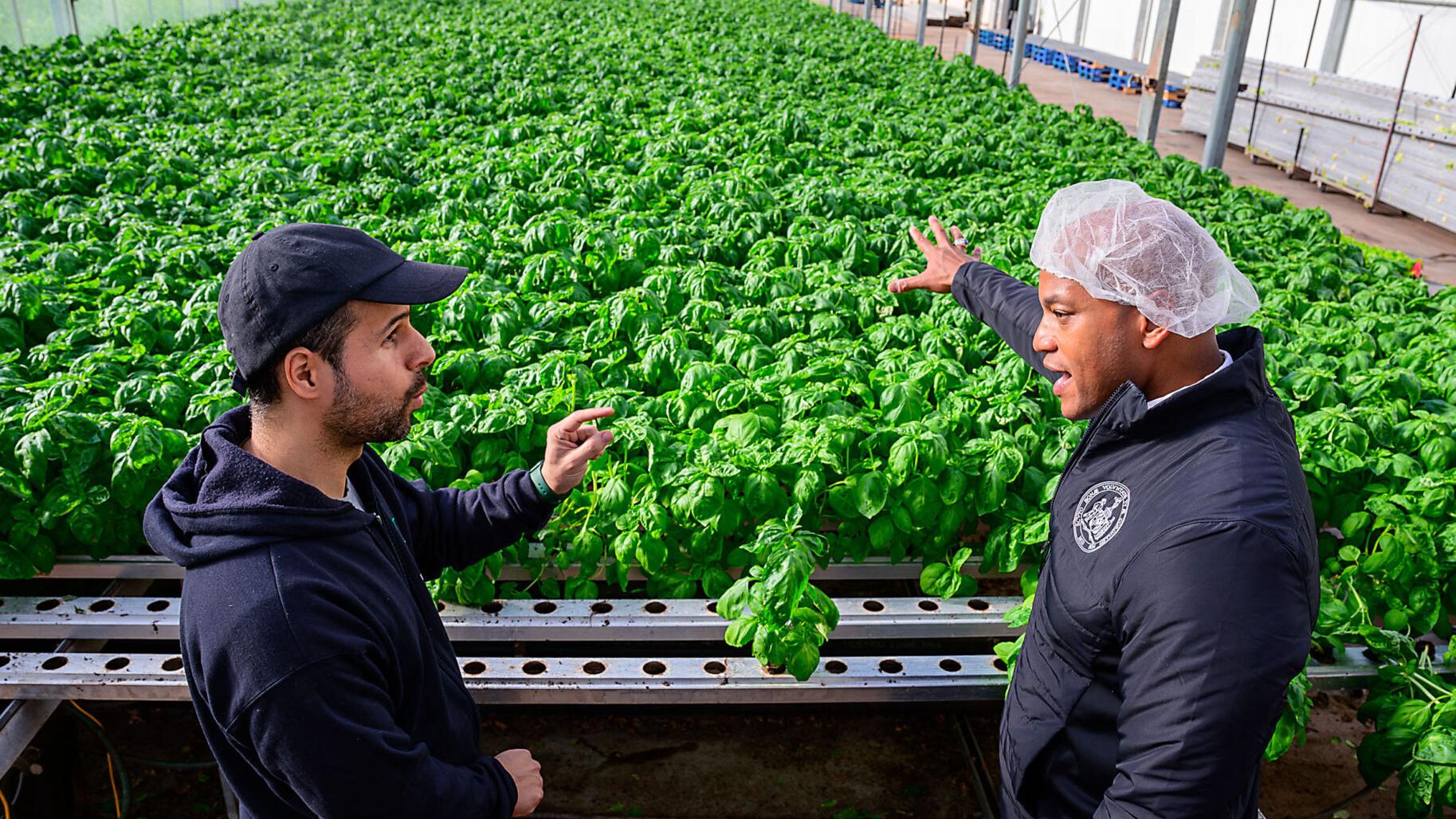 Updated: Gov. Moore tours Frederick County greenhouse that uses ...
