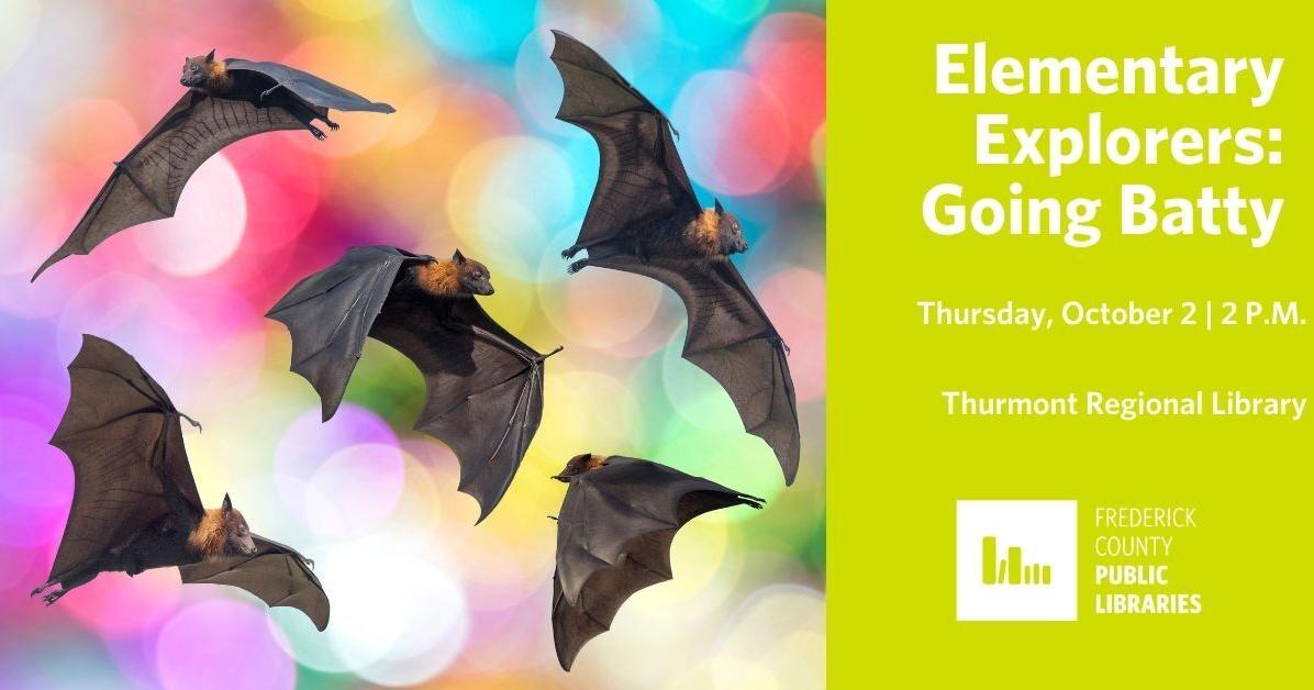 Elementary Explorers: Going Batty! | Family Fun | fredericknewspost.com