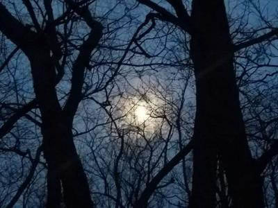 Full Moon Psychic Fair | Things to Do | fredericknewspost.com