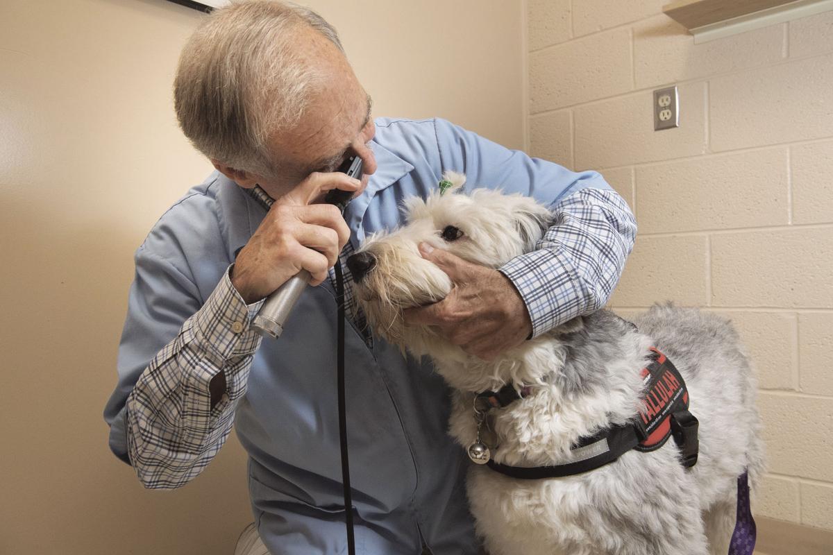 Beloved Veterinarian Retires | Seniors | fredericknewspost.com